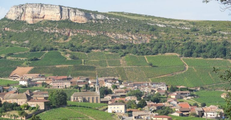 Domaine Barraud - Maitre de Chai